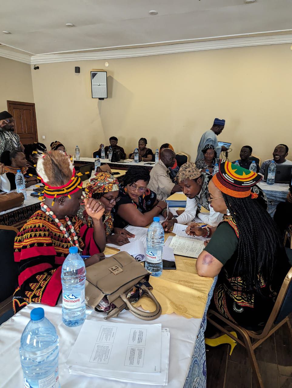 Cameroon Cooperative Credit Union League – CamCCUL